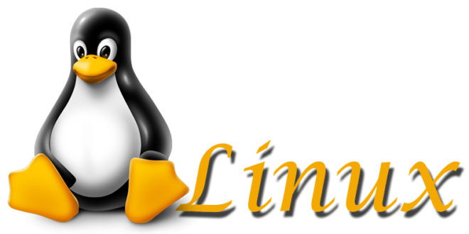 Linux : tout savoir sur ce système d'exploitation Open Source